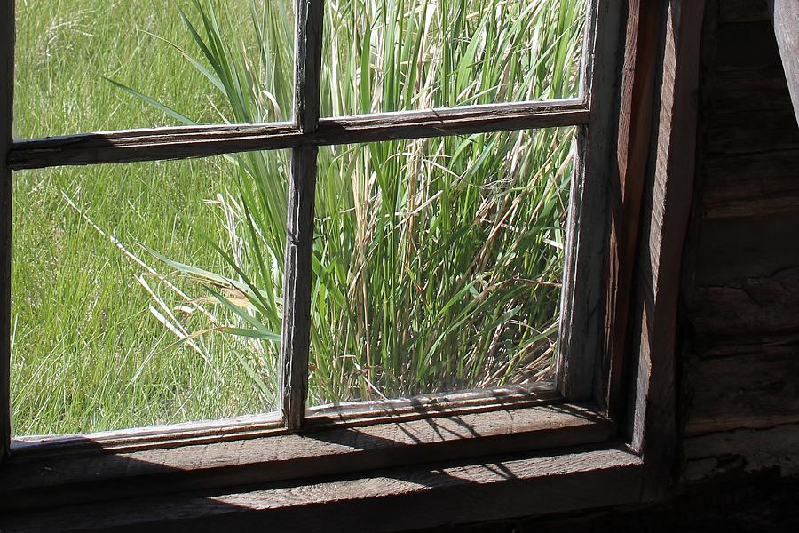 Inside Looking Out Photograph by Mark Eisenbeil