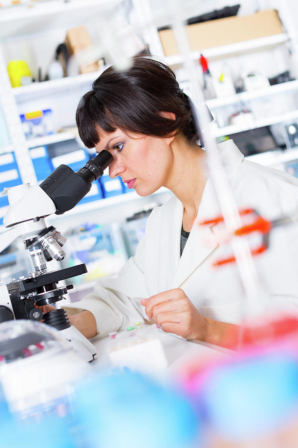 Lab Assistant Using Microscope Photograph by Wladimir Bulgar - Fine Art ...