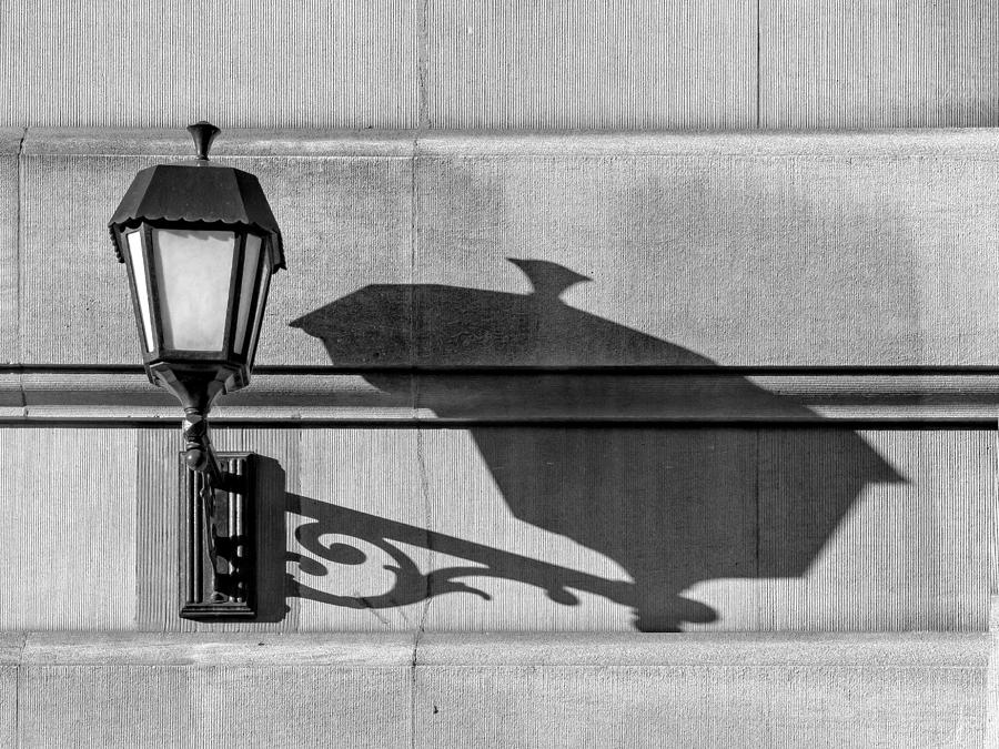 Lamp and Shadow Photograph by Robert Ullmann - Fine Art America