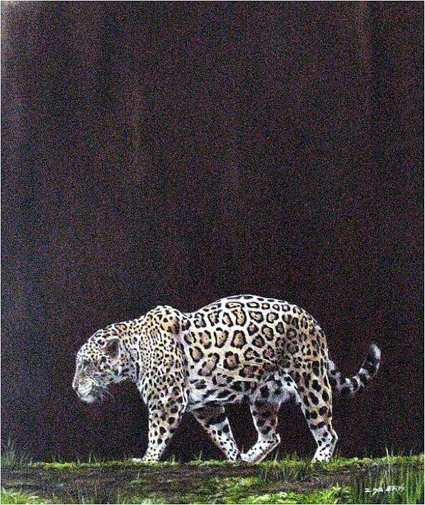 Leopard Painting by Ziya Eris - Fine Art America