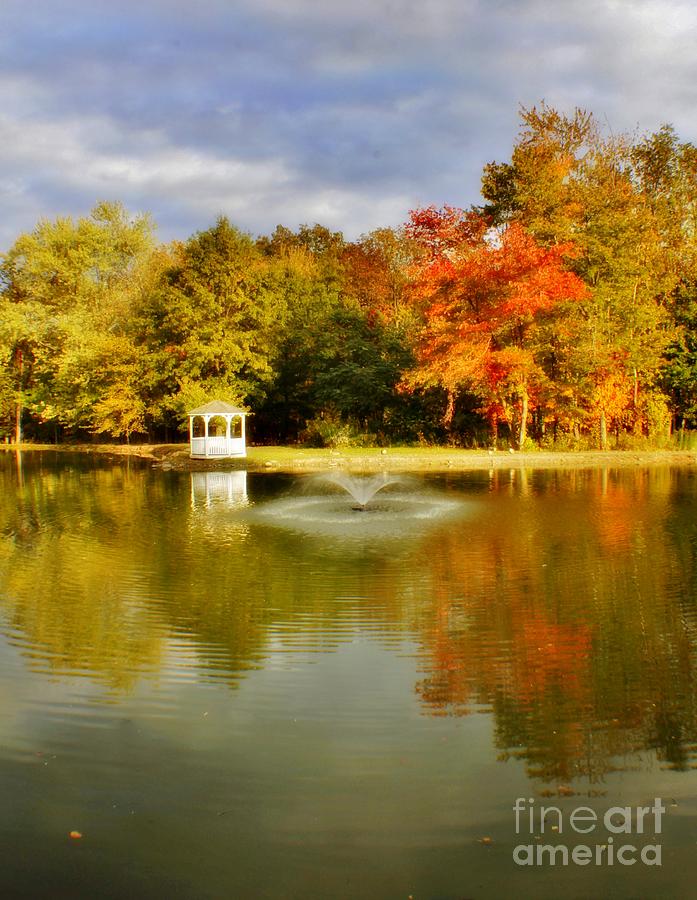 Maples Farm 2013 Photograph by Chet B Simpson - Fine Art America