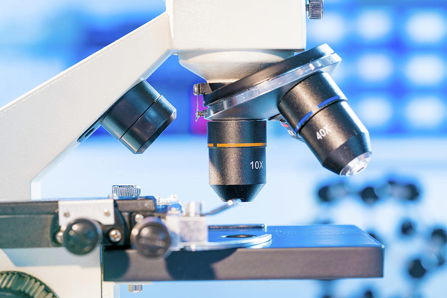 Microscope Photograph by Wladimir Bulgar/science Photo Library