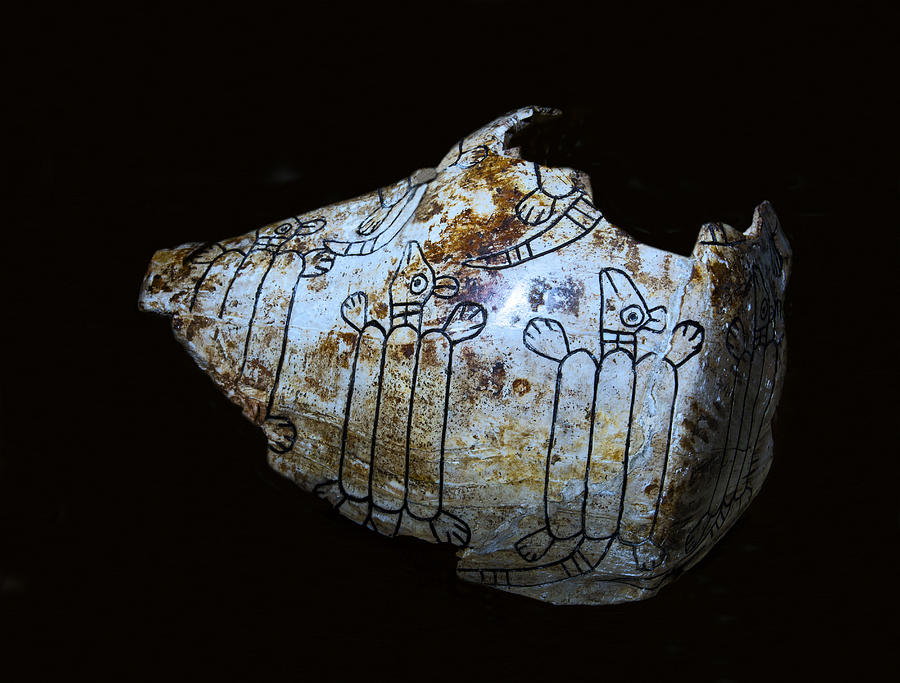 Native American Painted Shell #2 Photograph by Millard H. Sharp - Pixels