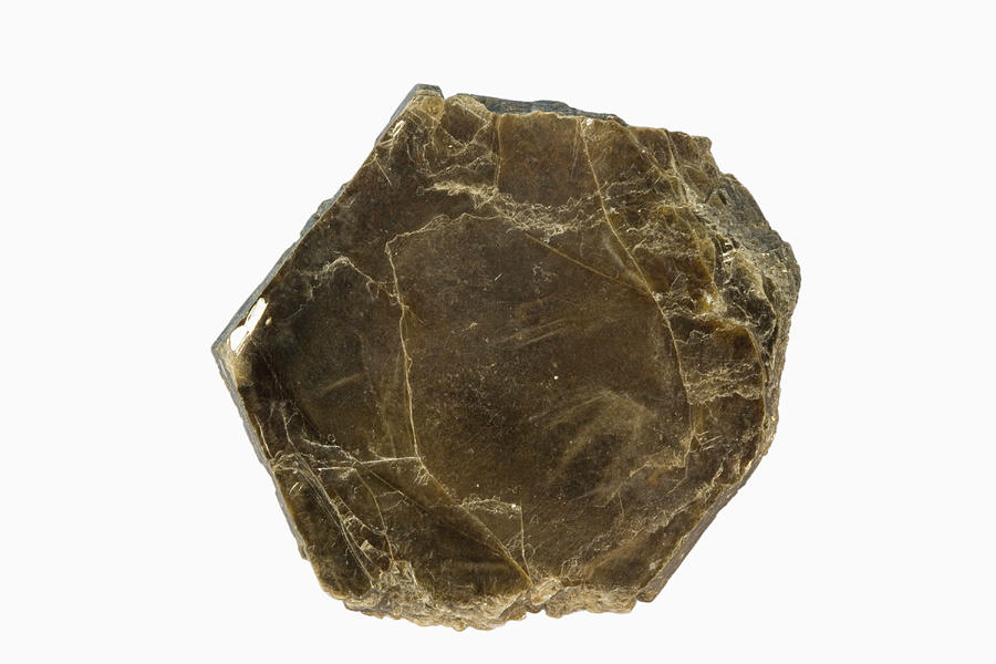 Phlogopite Photograph by Science Stock Photography/science Photo ...