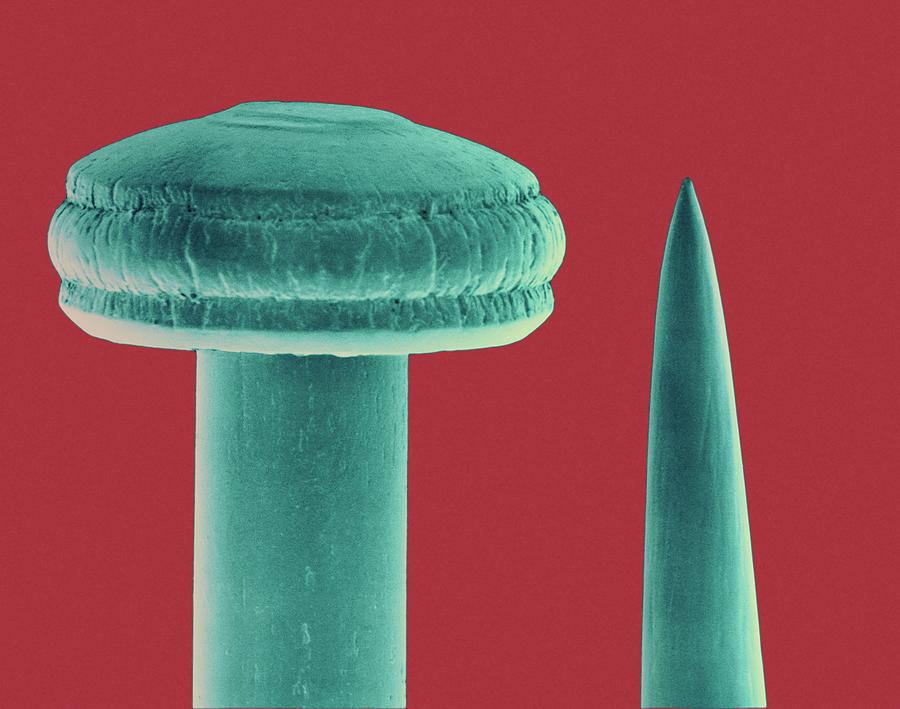 Pin Head And Point #2 Photograph by Science Photo Library - Pixels Merch