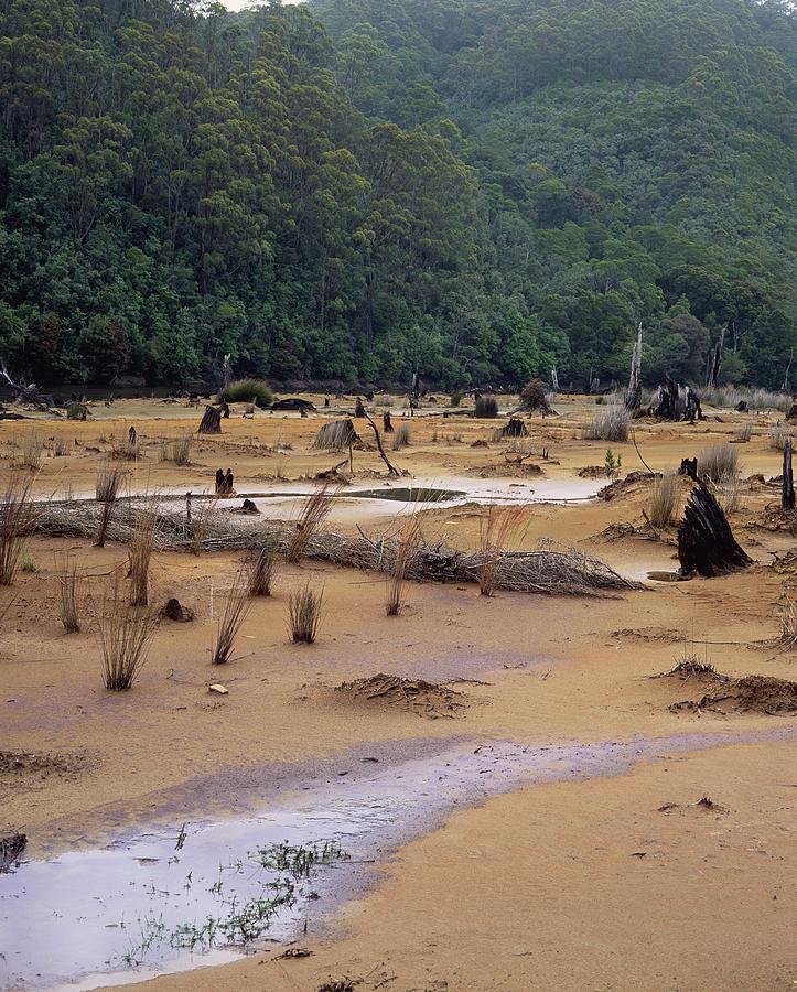 Polluted King River Causes Deforestation #2 by Simon Fraser/science ...