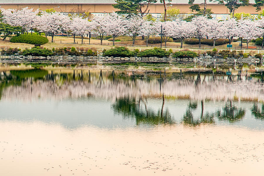 Reflection Photograph by Keith Homan - Fine Art America