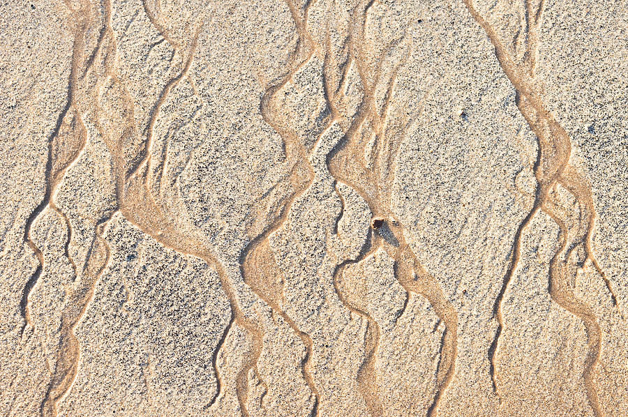 Sand pattern #2 Photograph by Tom Gowanlock - Fine Art America