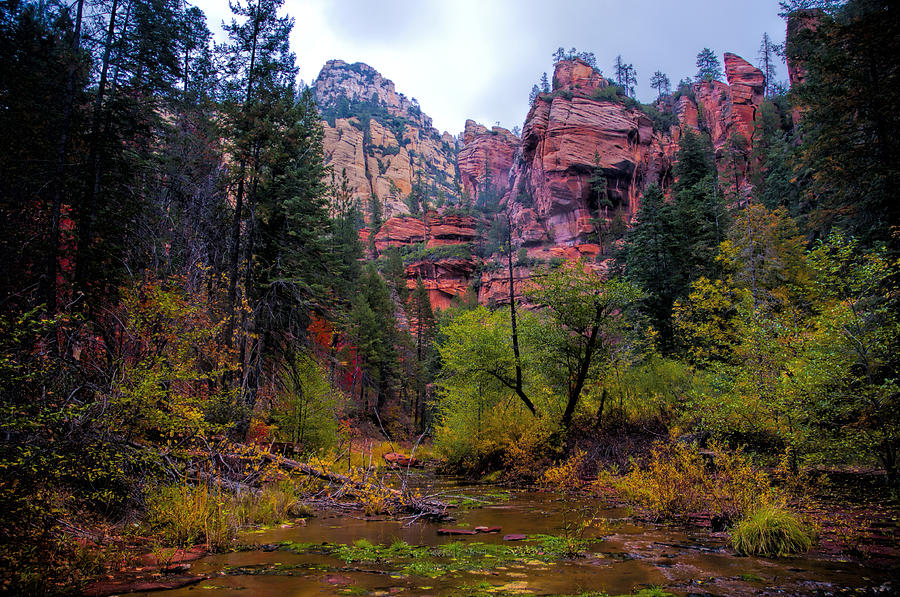 Scenic Cliffs Photograph by Brian Lambert - Fine Art America