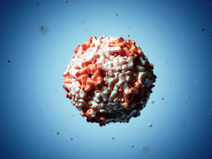 Seneca Valley Virus Particle Photograph by Sciepro/science Photo Library