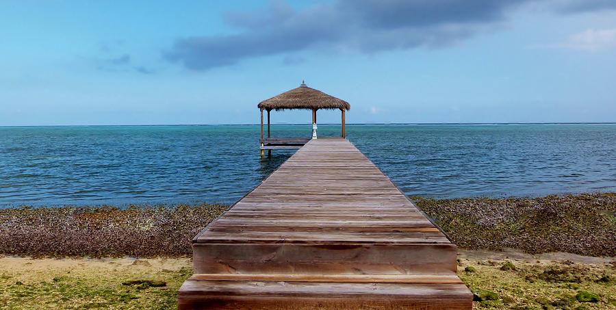 Step Out Photograph by Amar Sheow - Fine Art America