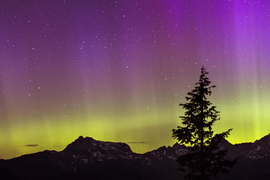 Sun Treat Photograph by Quynh Ton - Fine Art America