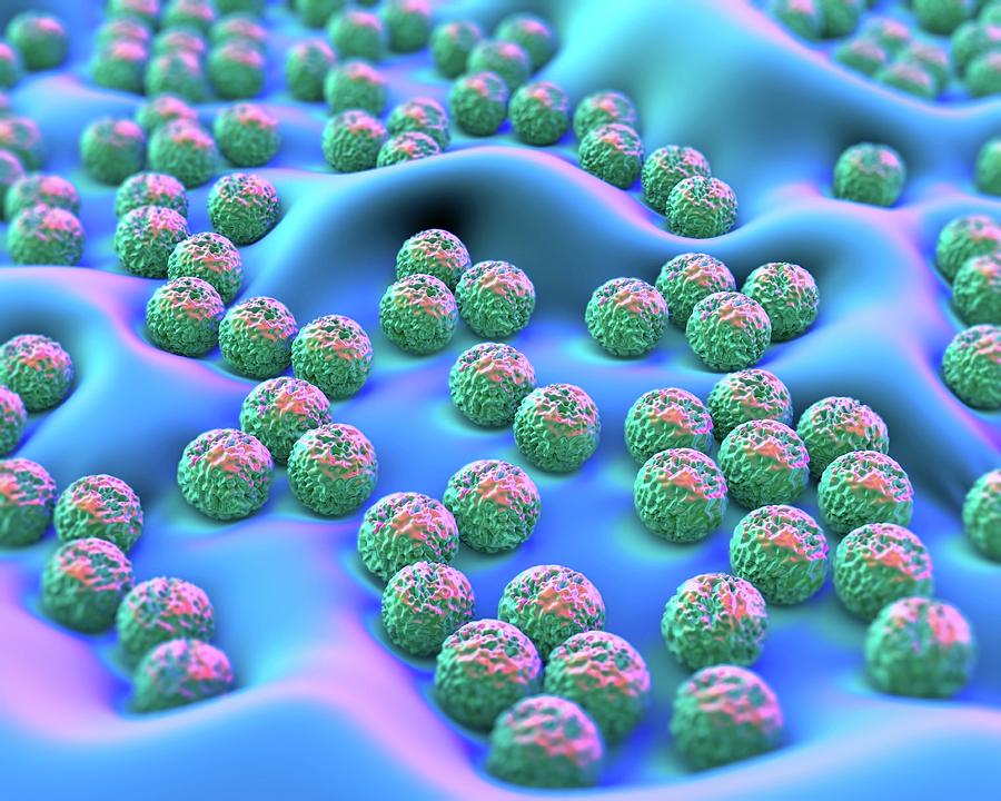 Superbug Bacteria Photograph by Science Artwork - Pixels