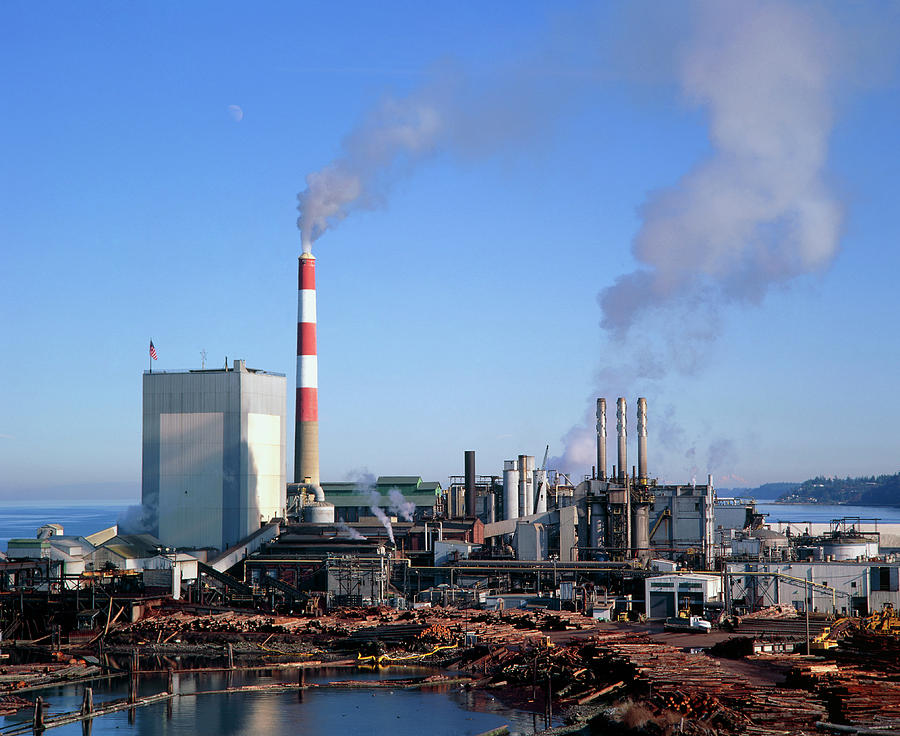 Timber Processing Plant #2 Photograph by Simon Fraser/science Photo ...