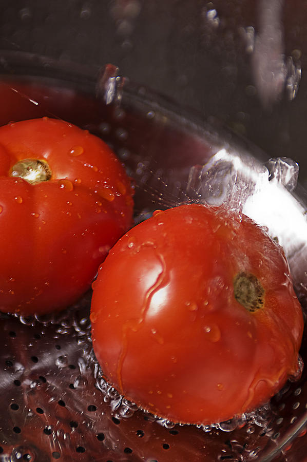 Tomatoes Photograph by Science Source - Fine Art America