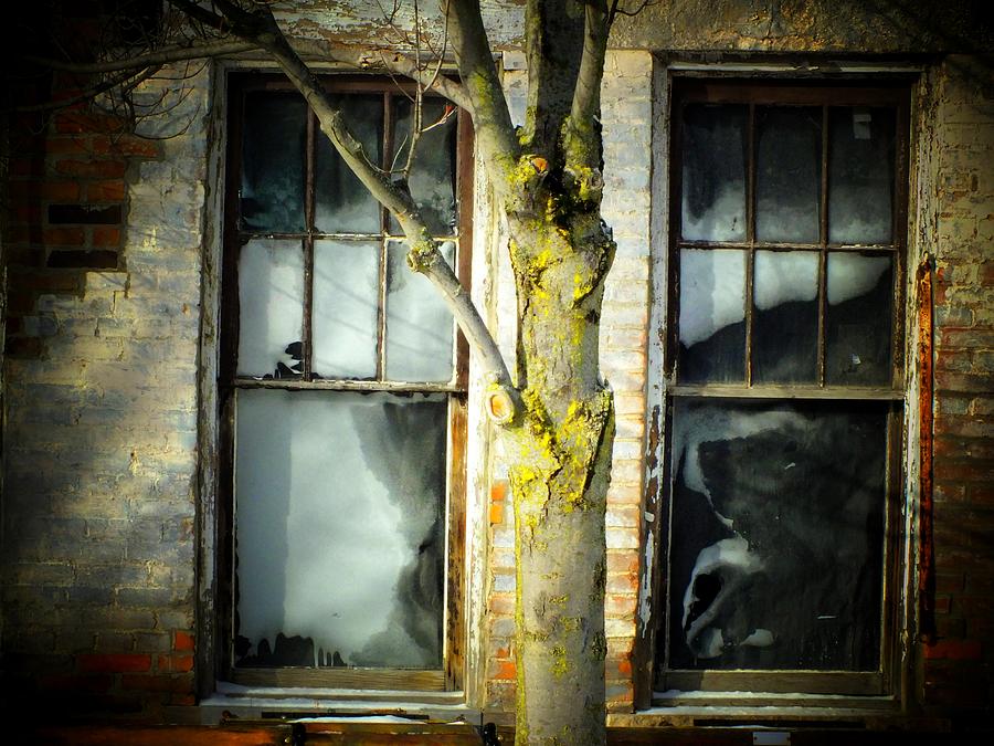 Two Windows Photograph by Michael L Kimble - Fine Art America
