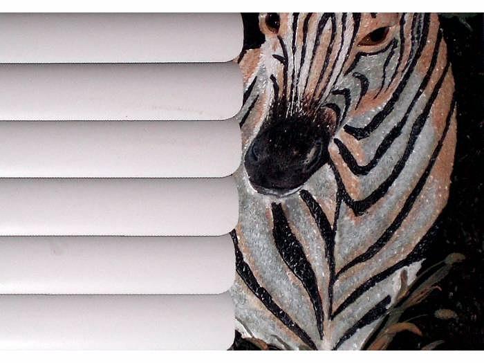 Untitled 2 Photograph by Jaimie Sharkey - Fine Art America