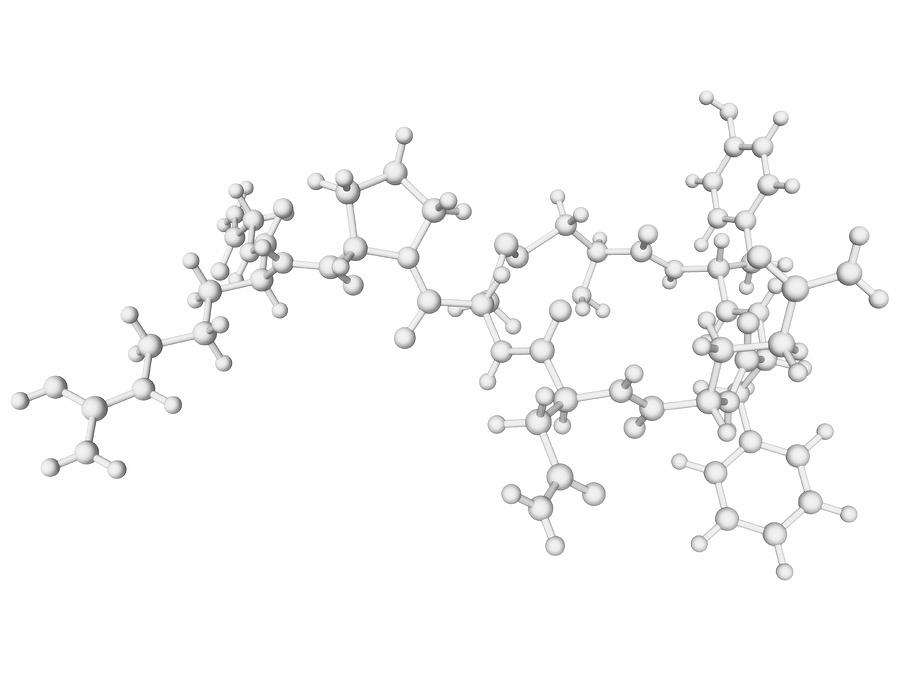 Vasopressin Hormone Molecule Photograph by Laguna Design/science Photo ... Vasopressin Hormone Molecule Photograph by Laguna Design/science Photo ...