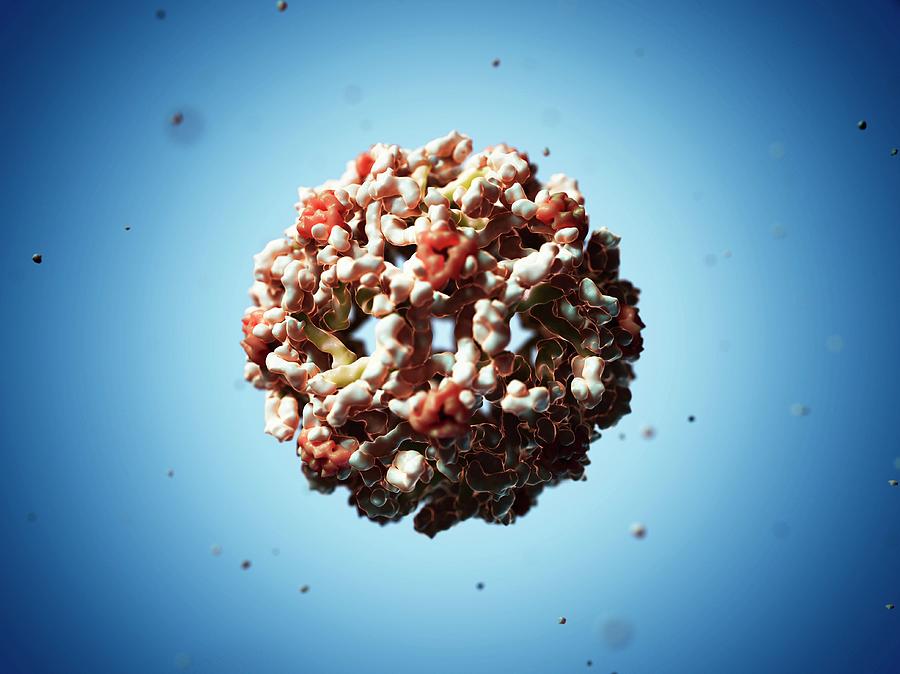 West Nile Virus Particle Photograph by Sciepro/science Photo Library | Fine Art America