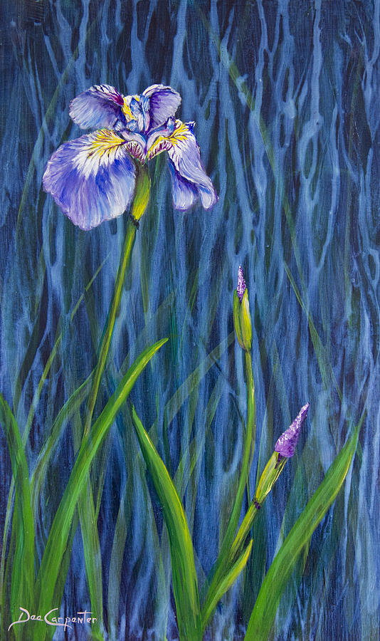 Wild Iris Painting by Dee Carpenter | Fine Art America