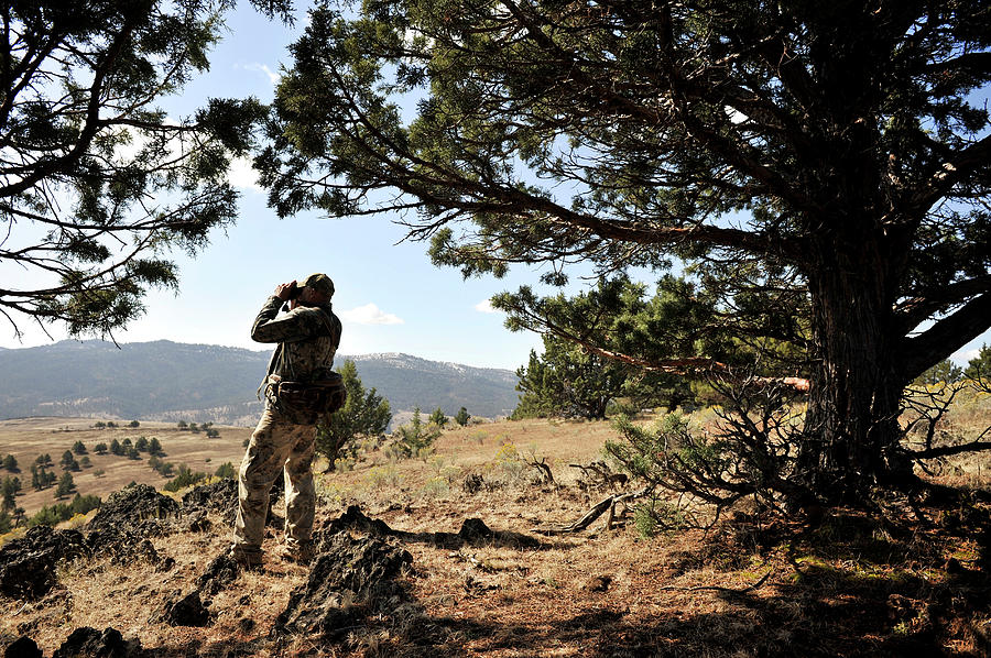 Hunting In Oregon Photograph by HagePhoto - Fine Art America