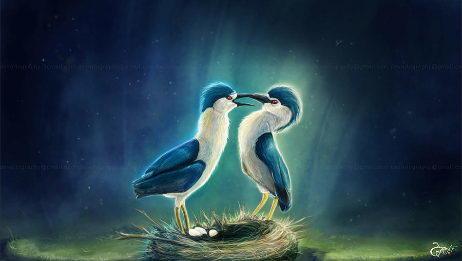 2birds Digital Art by Dev Ballal - Fine Art America