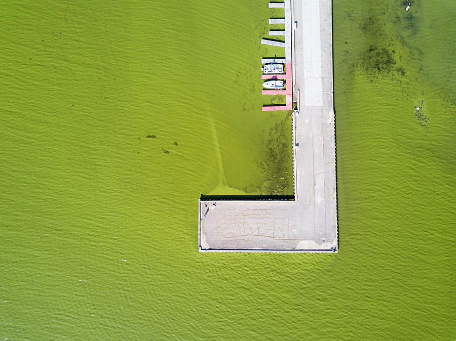 Algae Bloom On Lake Champlain, St #3 Photograph by Corey Hendrickson ...