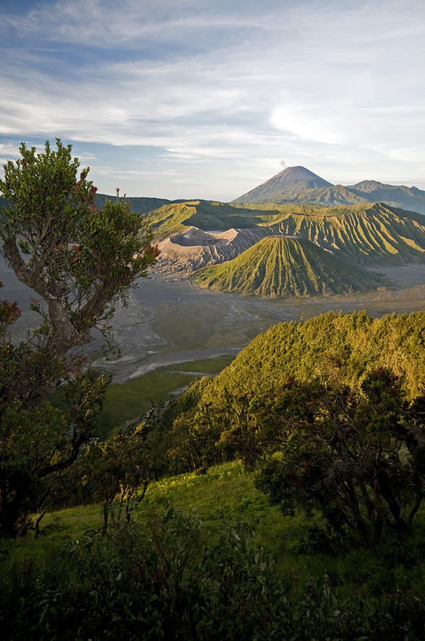 Bromo valley Java Indonesia Digital Art by Dray Van Beeck - Fine Art ...