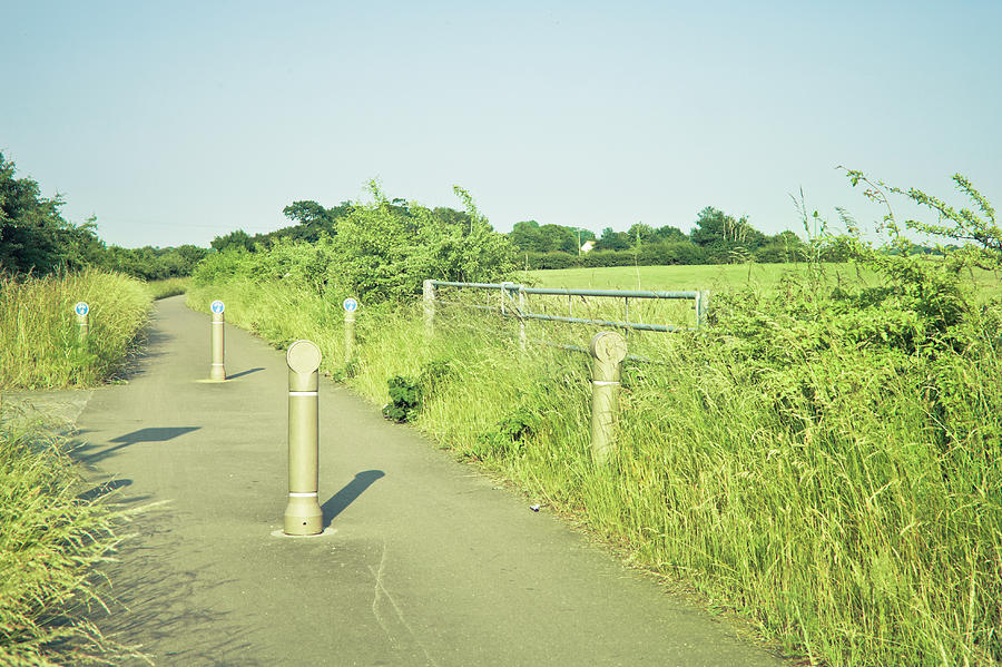 Cycle path Photograph by Tom Gowanlock - Fine Art America