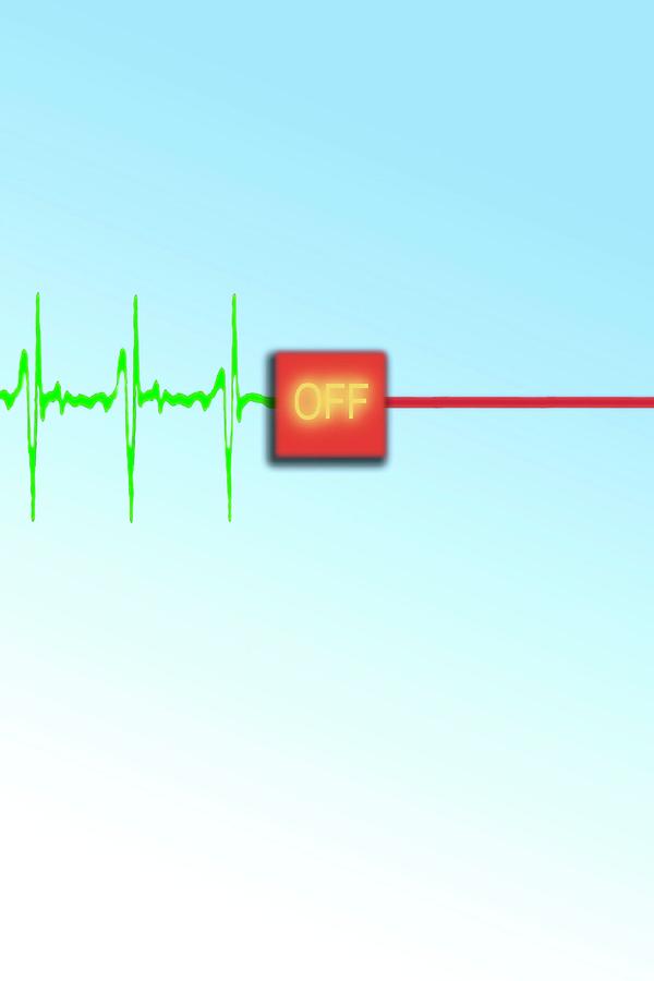 Euthanasia Photograph by Pascal Broze/reporters/science Photo Library ...