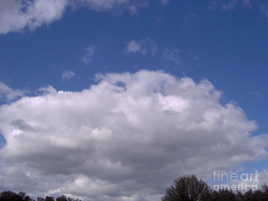 Florida Clouds Photograph by D Hackett - Fine Art America