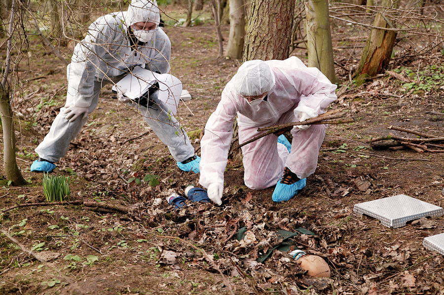 Forensic Training #3 by Science Photo Library