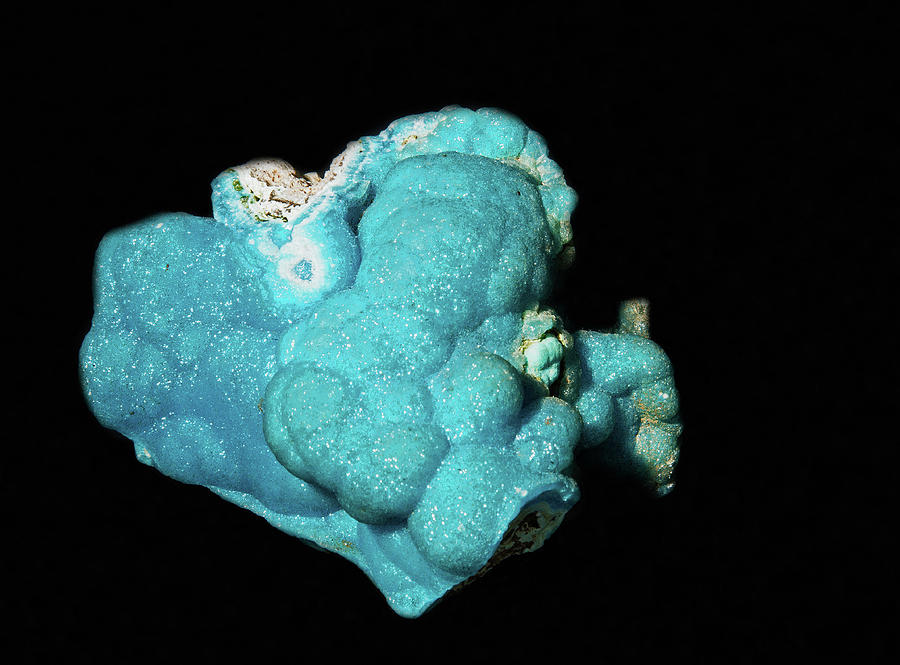 Hemimorphite Photograph by Millard H. Sharp - Fine Art America