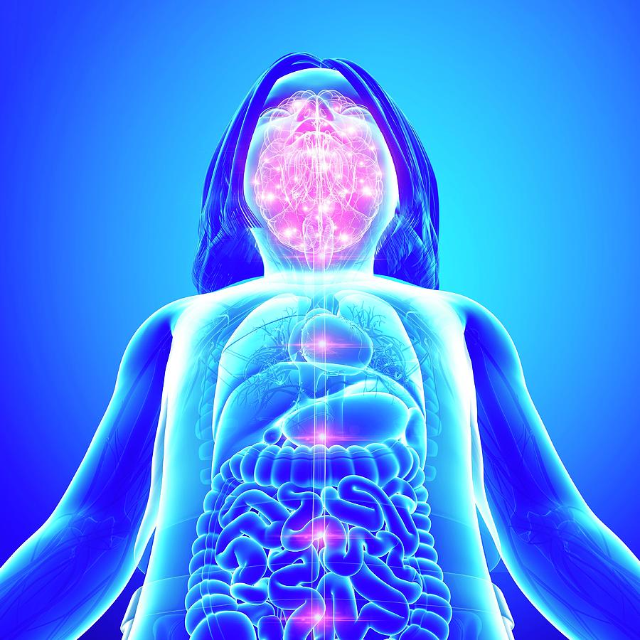 Human Brain Activity Photograph by Pixologicstudio/science Photo ...