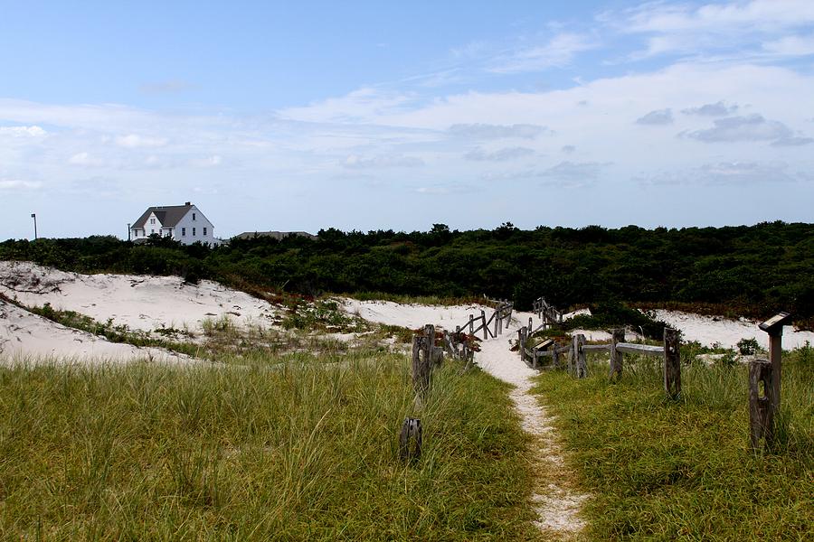 Ibsp Photograph by Nicholas Pullano - Fine Art America