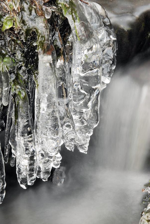 Icicles #3 by Science Photo Library