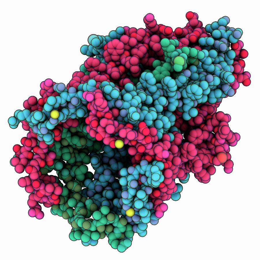 Mechanosensitive Channel Molecule #3 Photograph by Science Photo ...
