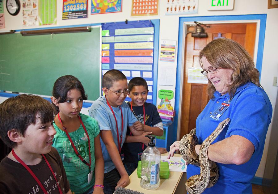 Primary School Computer Lesson Photograph by Jim West - Fine Art America