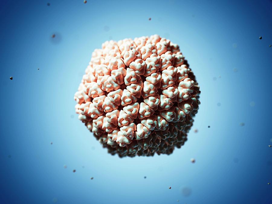 Rice Dwarf Virus Particle Photograph by Sciepro/science Photo Library - Pixels