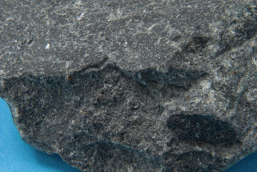 Sample Of Basalt #3 by Science Photo Library