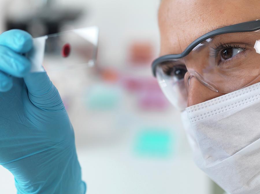 Scientist With Microscope Slide #3 by Science Photo Library