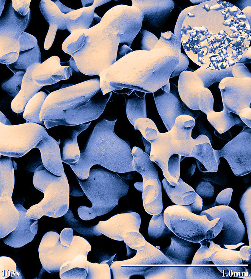 Snow Crystals, Sem Photograph by Science Source - Fine Art America