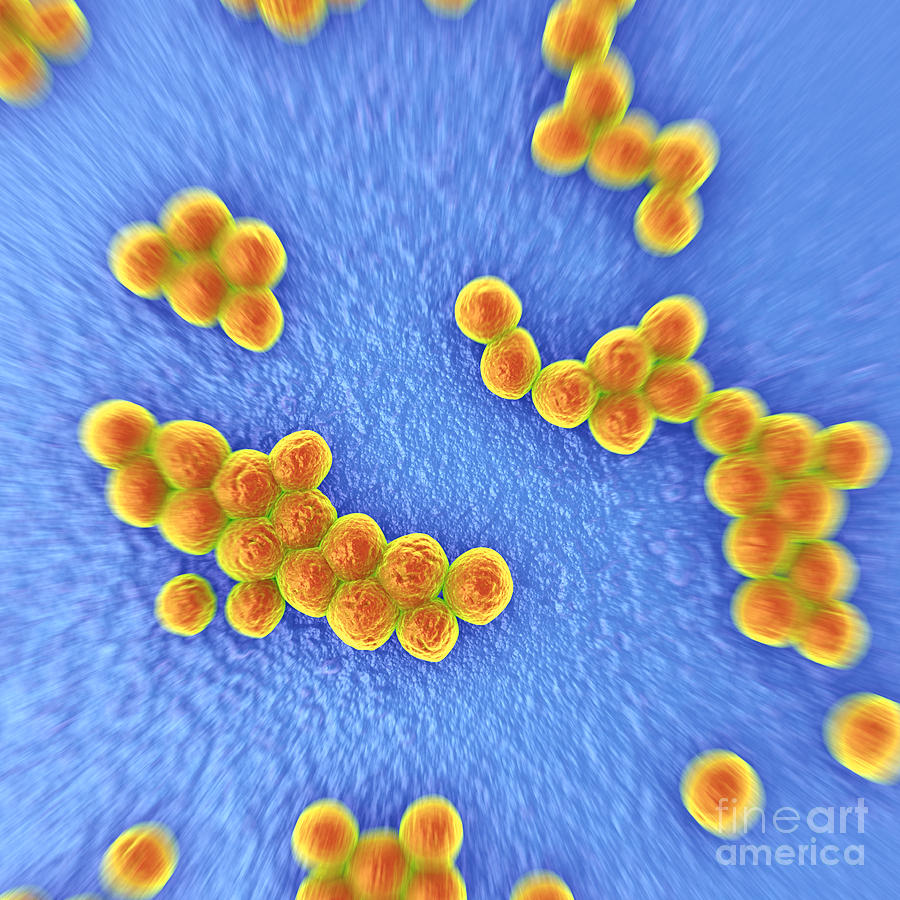 Super Bug Bacteria Photograph by Science Picture Co - Pixels