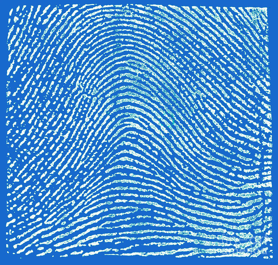 Typical Arch Pattern, 1900 Photograph by Science Source - Pixels