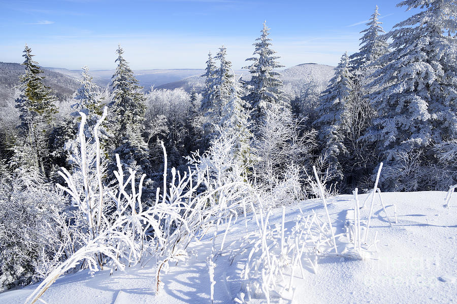 Winter along the Highland Scenic Highway Photograph by Thomas R ...