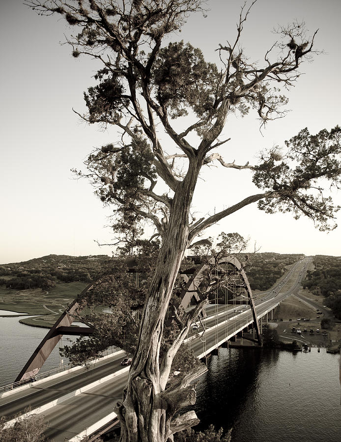 360 Bridge and Tree Photograph by Gerald Andersen | Pixels