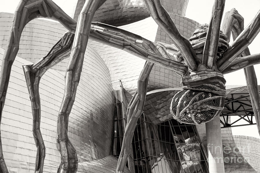 Bilbao Guggenheim Museum Photograph by Dmitry Zhukov | Fine Art America
