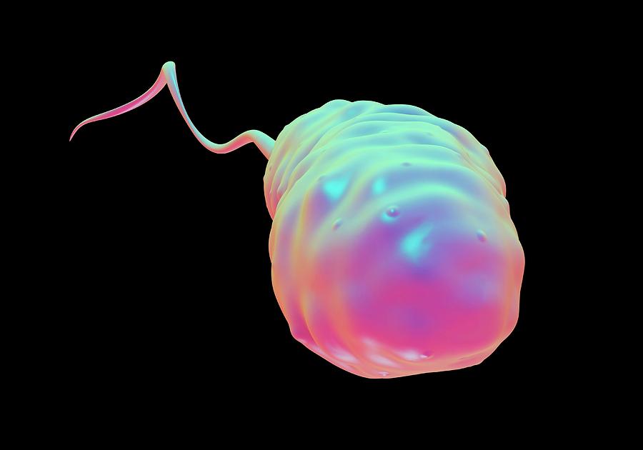 Cholera Bacterium #4 by Science Photo Library