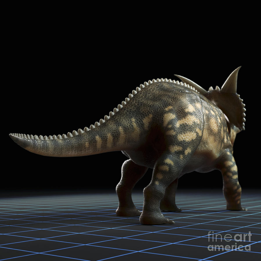 Dinosaur Einiosaurus Photograph by Science Picture Co | Fine Art America