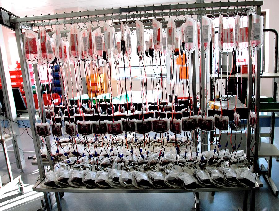 Donor Blood Processing Photograph by Aj Photo/science Photo Library ...